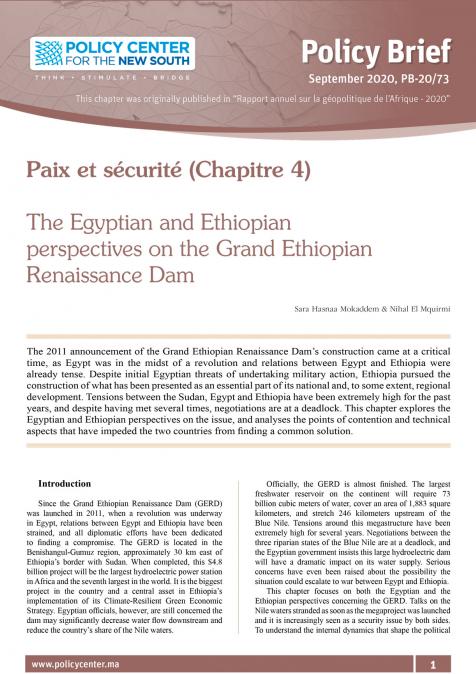 The geopolitics of Egypt: Strengths, Opportunities, Constraints and ...