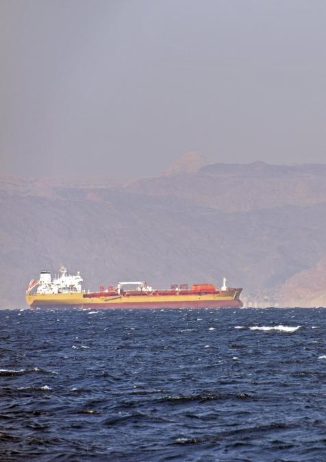 Red Sea Risks: Security Challenges and the Global Trade Equation