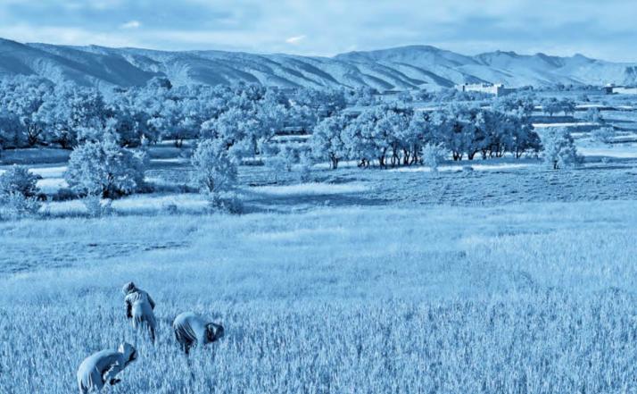 Climate change and migration Understanding factors, developing ...