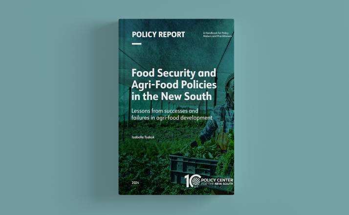 Food Security and Agri-Food Policies in the New South