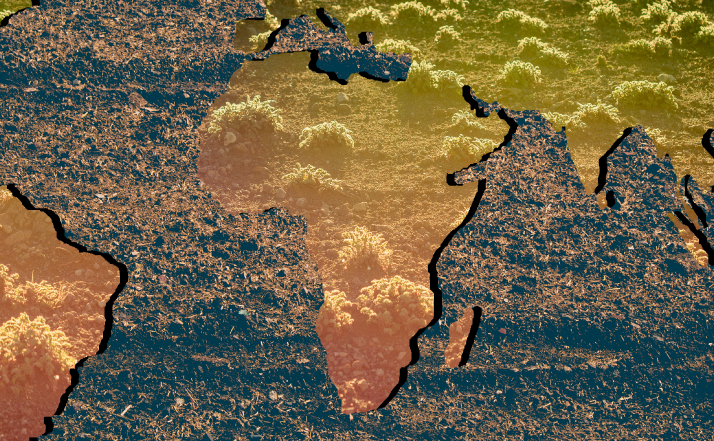 Africa’s Power Pivot: Strategic Ascent in a Fractured World